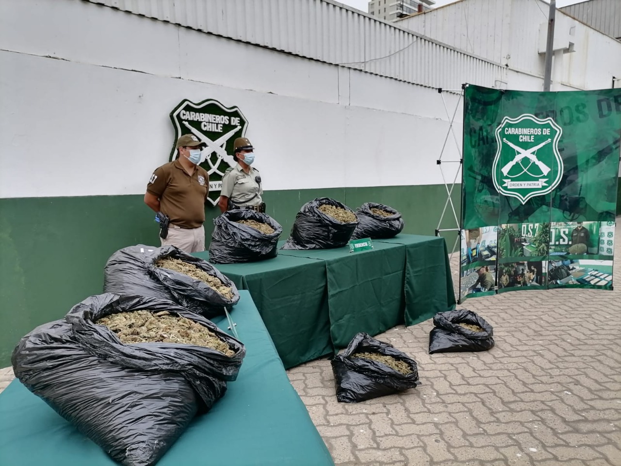 CARABINEROS DEL OS7 ACONCAGUA INCAUTA 560 MILLONES EN MARIHUANA ELABORADA: DOS HOMBRES FUERON ...