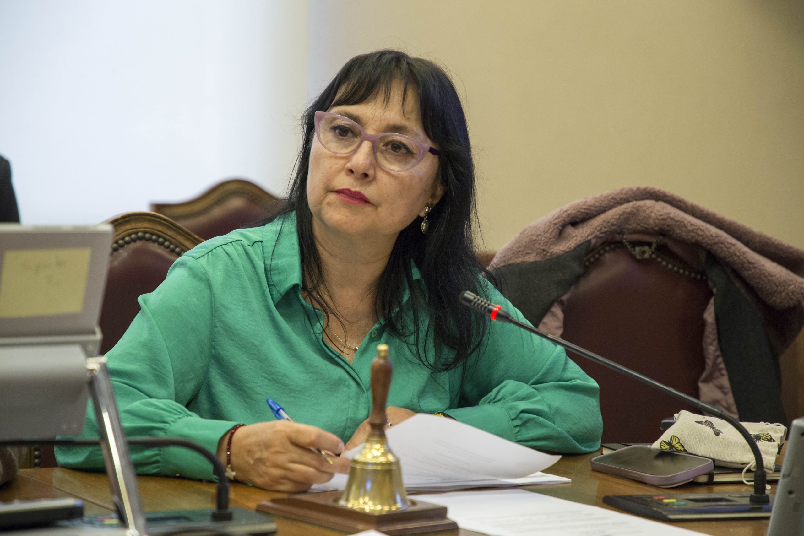 Diputada Carolina Marzán Anuncia Protocolo para Asegurar la Atención de Denuncias por Maltrato ...